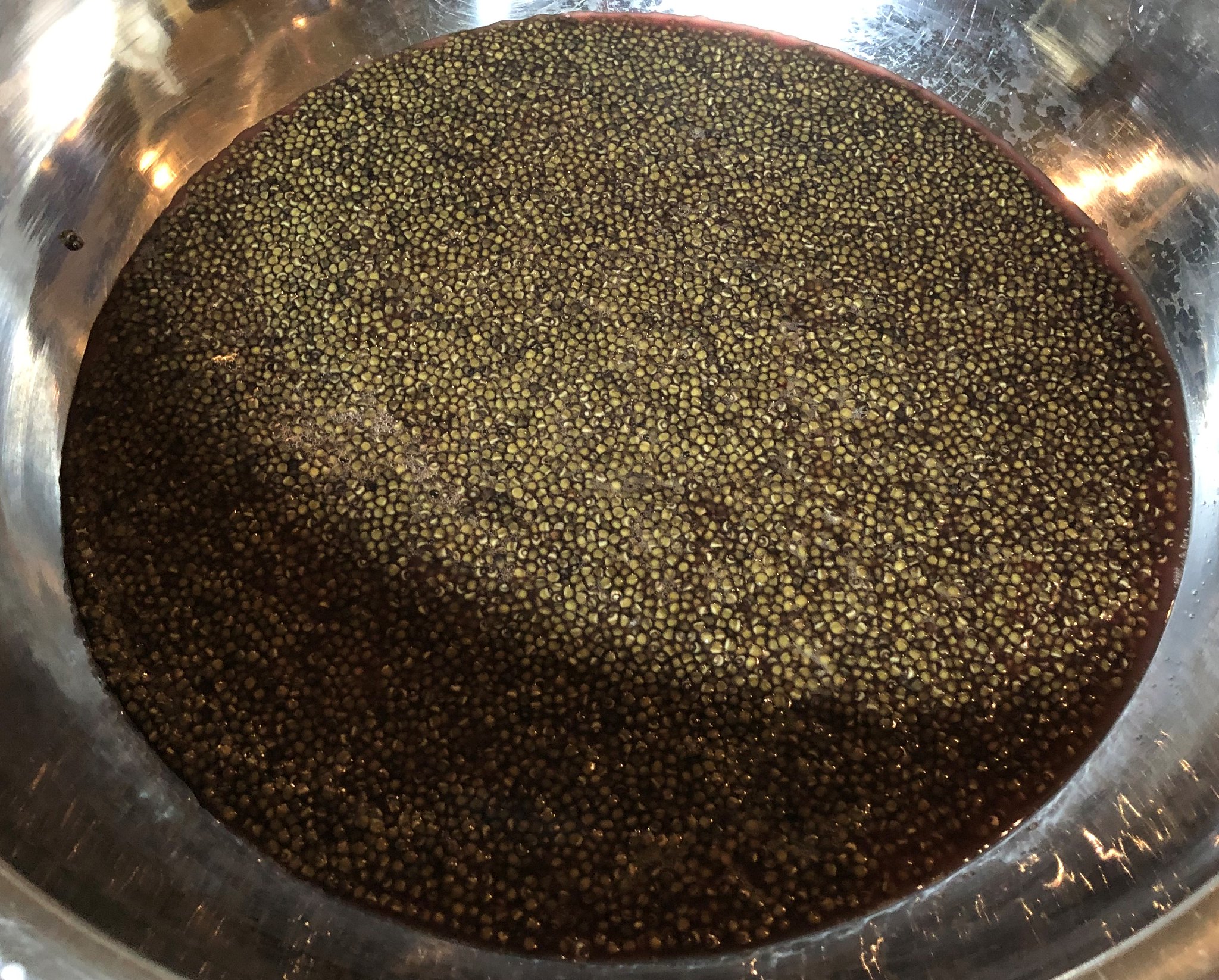 sturgeon eggs.jpg | FWS.gov